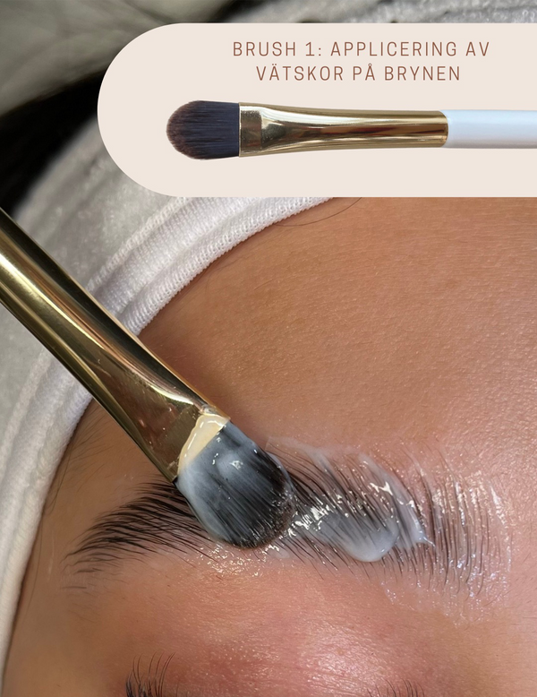 Bryn Borstar Kit | Färga ögonbryn | Sminkborstar kit - Permalift
